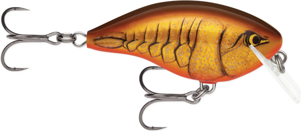 Discover the Secret Lure Top Bass Pros Swear By—Is It in Your Tackle B ...